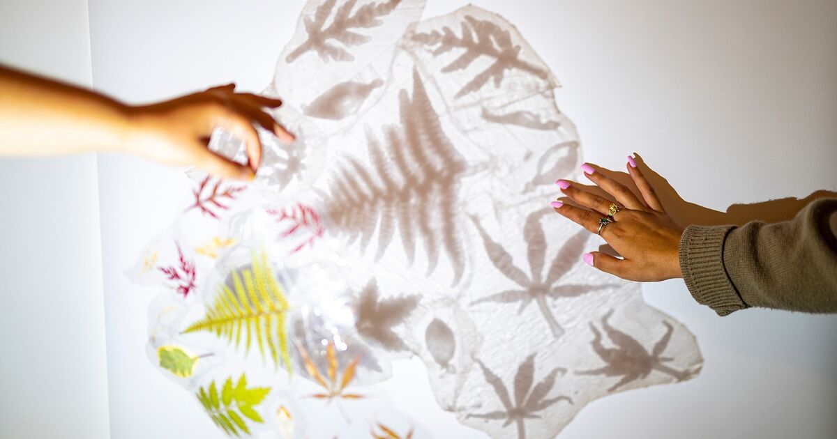 Introducing Sarah Dean, our new Chair | Spare Tyre